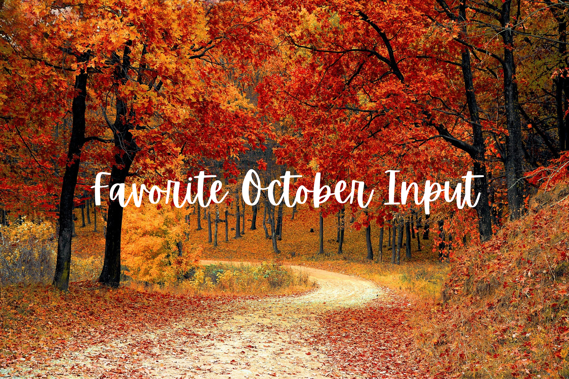 Favorite October Input – Lauren's Easel
